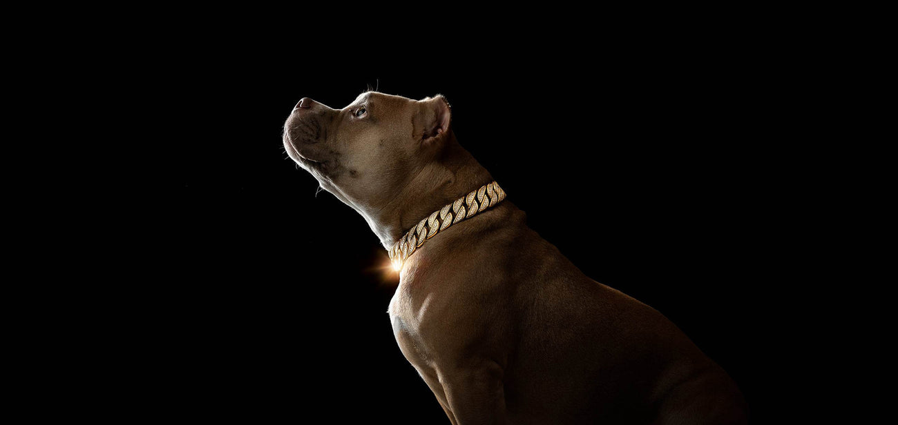 Royal Dog Chains